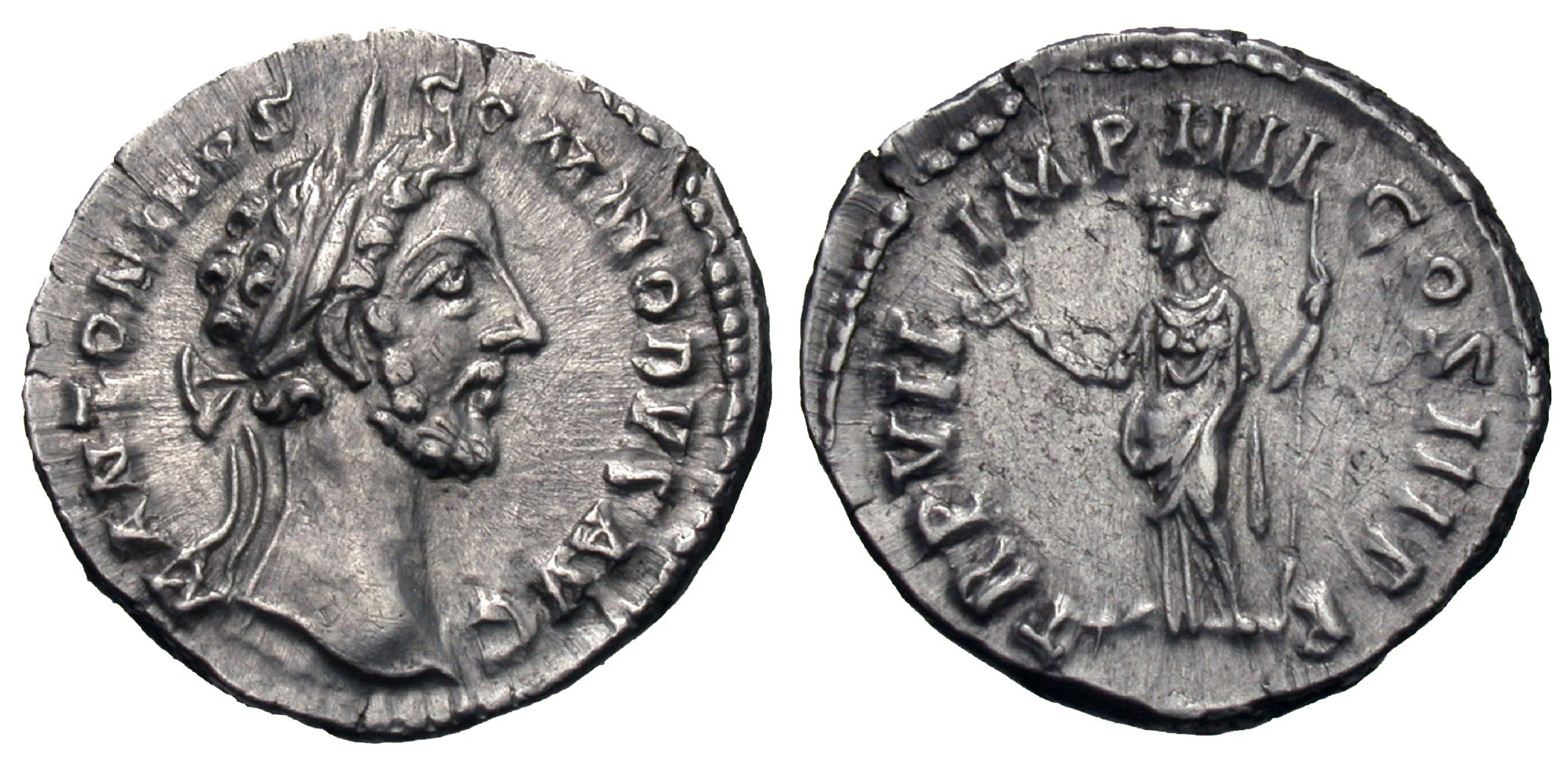Commodus. AR Denarius. Pax. | Roman Imperial Coins