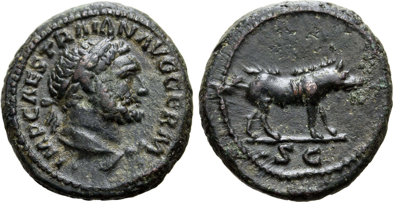 Trajan. Æ Quadrans. Hercules / Boar. Heavy Example! | Roman Imperial Coins