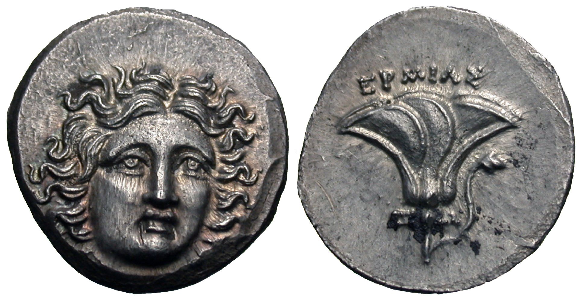 Kings of Macedon. Perseus. AR Drachm. Helios / Rose. Choice. | Greek Coins