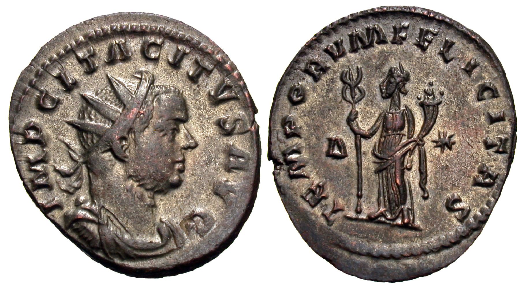 Tacitus. Antoninianus. Felicitas. | Roman Imperial Coins