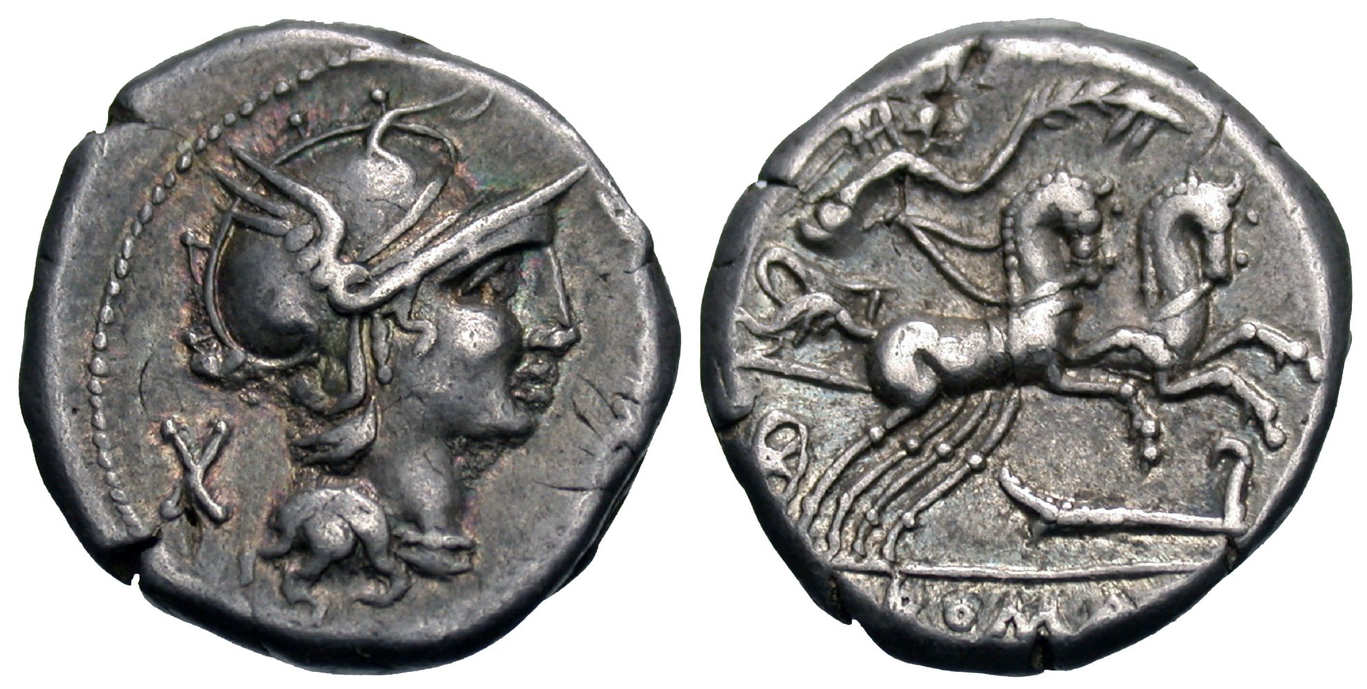 Roman Republic. M. Cipius. AR Denarius. | Roman Republican Coins