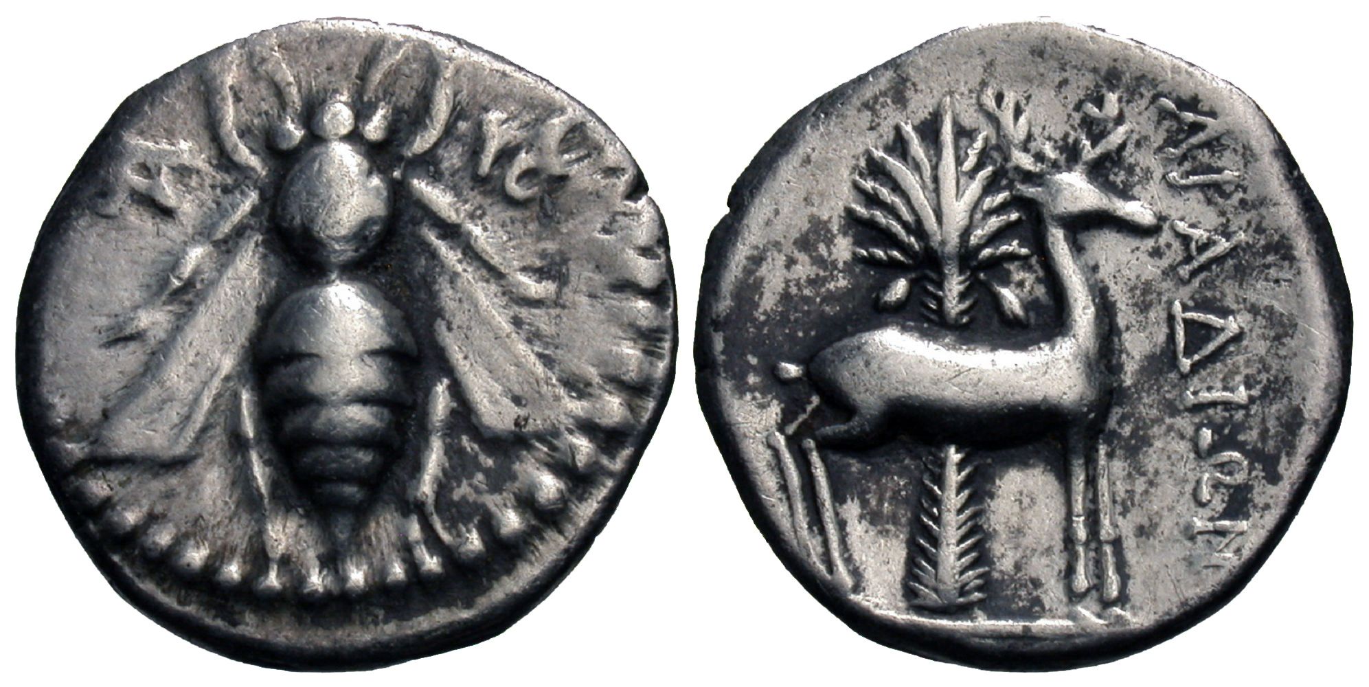Phoenicia, Arados. AR Drachm. Bee / Stag. | Greek Coins