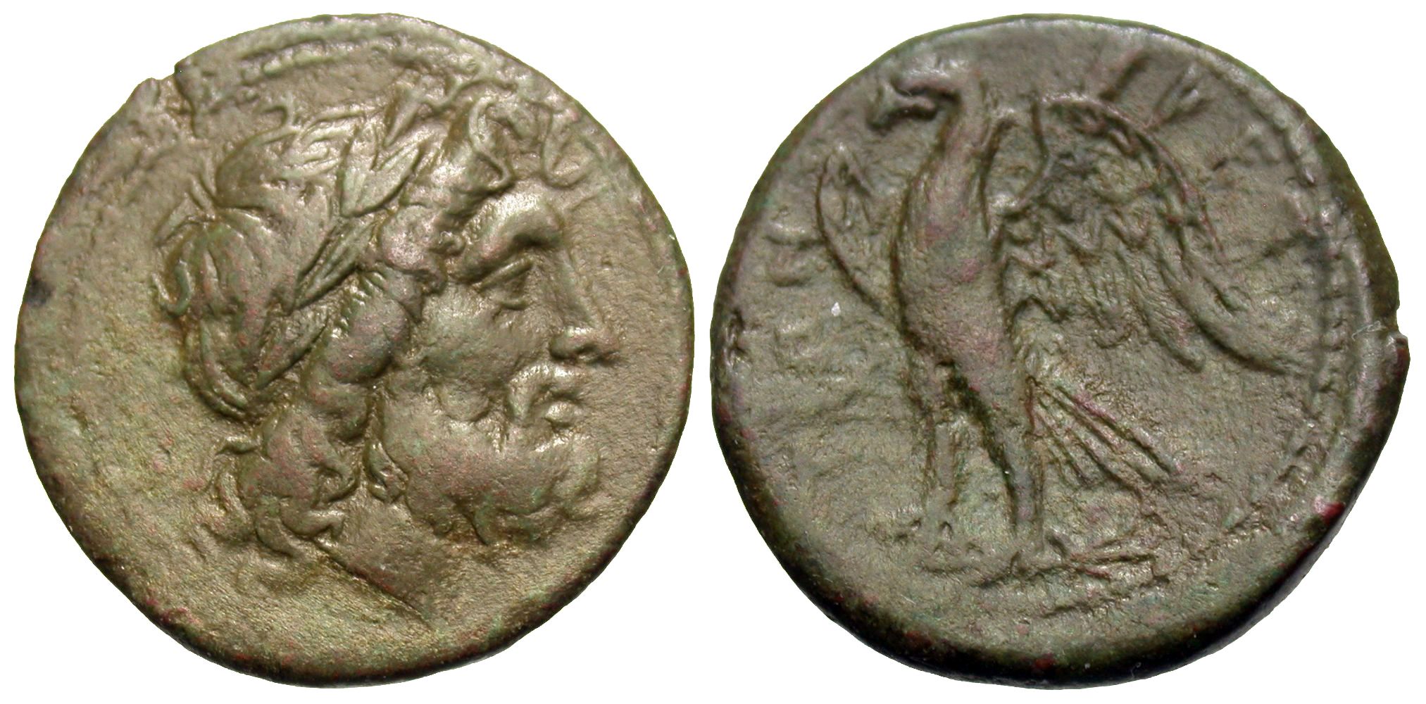Bruttium, The Bretti. AE Unit. Zeus / Eage. | Greek Coins