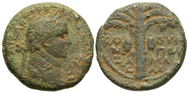 Samaria, Neapolis. Domitian. Palm Tree. | Roman Provincial Coins