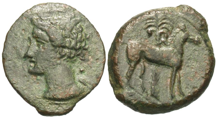 Carthage. Æ Unit. Tanit / Horse. | Ancient African Coins