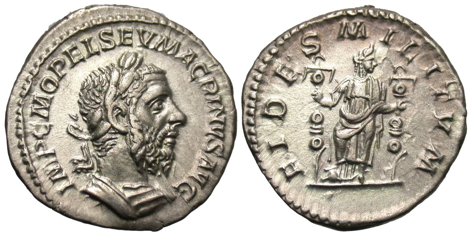 Macrinus. AR Denarius. Fides. | Roman Imperial Coins