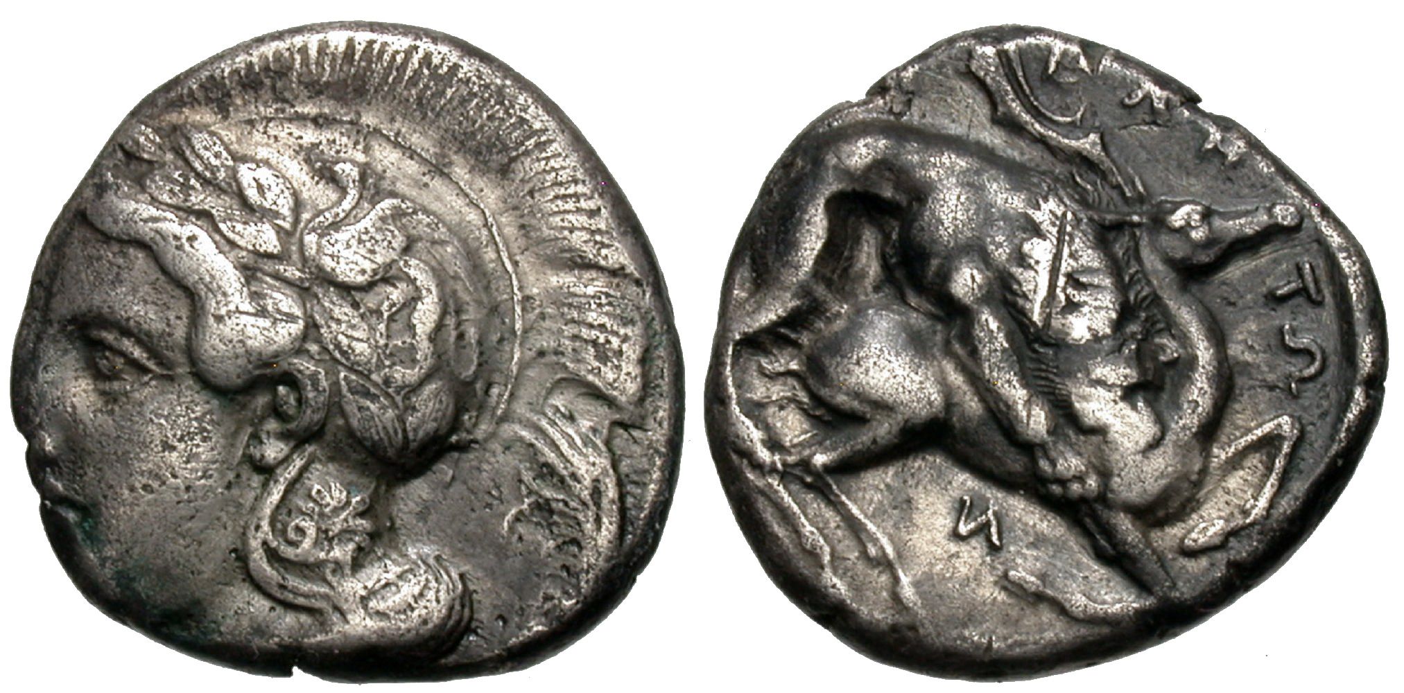 Lucania, Velia. AR Didrachm. Athena / Lion Attacking Stag. | Greek Coins