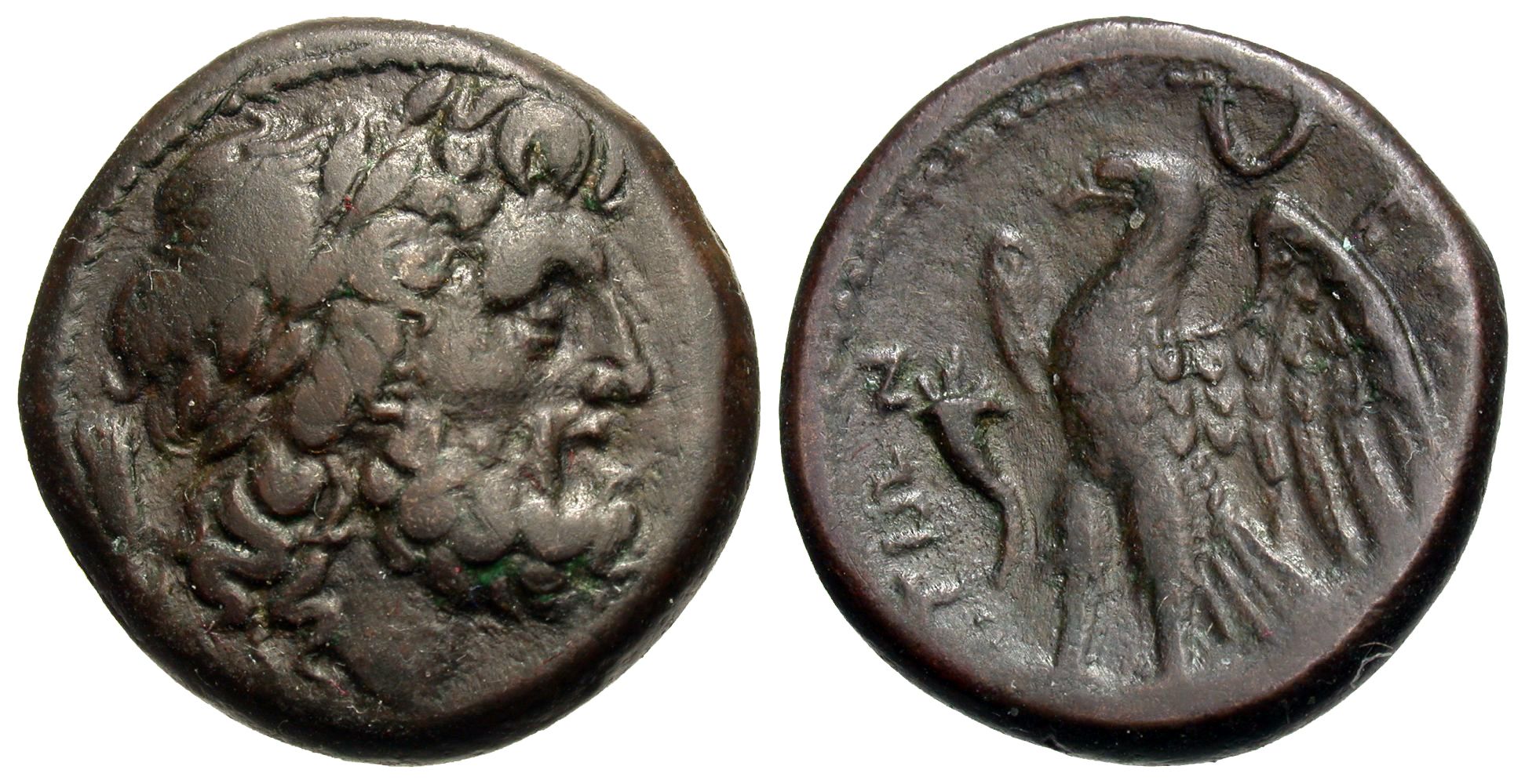 Bruttium. The Brettii. Æ Unit. Zeus / Eagle. | Greek Coins