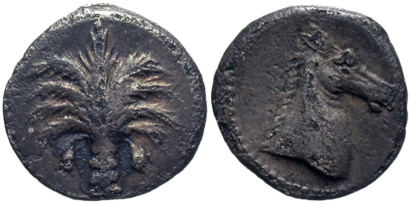 Zeugitana, Carthage. AR Litra. Palm Tree / Horse. | Ancient African Coins