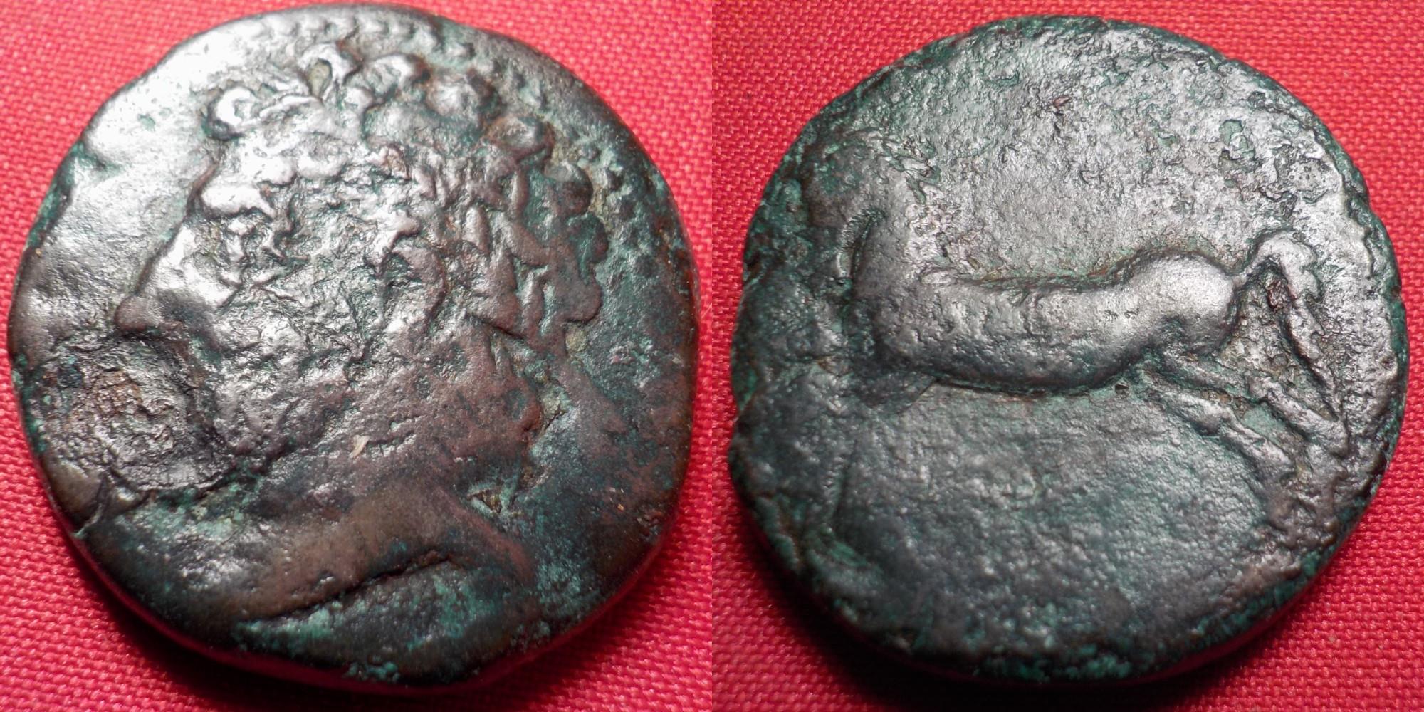 KINGDOM OF NUMIDIA, Micipsa, AE 27mm. Bearded bust, Horse galloping left.