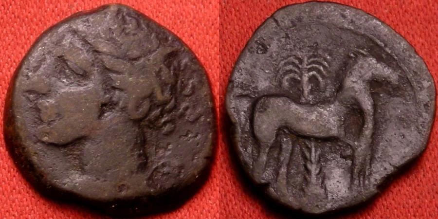 CARTHAGE, Siculo-Punic, AE 16mm. ~300 BC. Horse standing, palm behind.