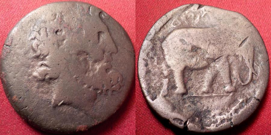 JUBA I, King of Numidia & Mauretania, AE unit. Head of Zeus Ammon ...