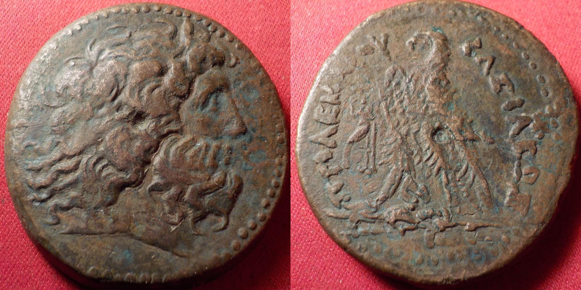 PTOLEMY IV PHILOPATOR AE 36mm hemidrachm. 222-204 BC. Eagle on thunderbolt.