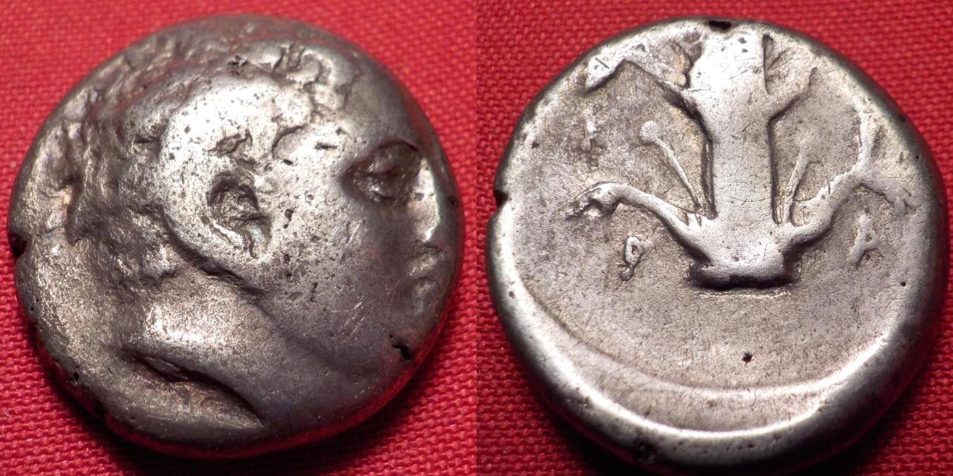 CYRENE, CYRENAICA AR silver didrachm. Magas as Ptolemaic governor ...