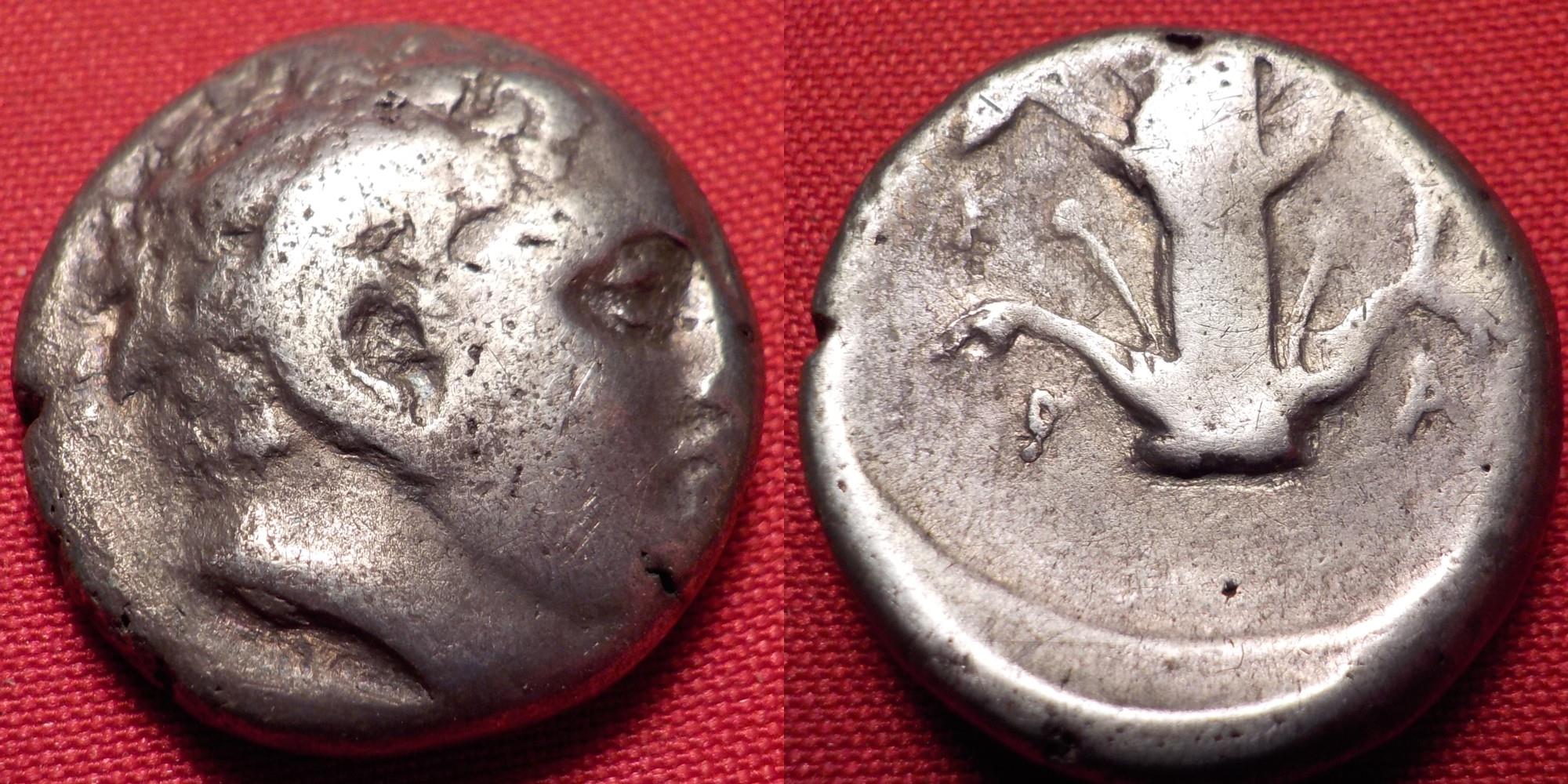 CYRENE, CYRENAICA AR silver didrachm. Magas as Ptolemaic governor ...
