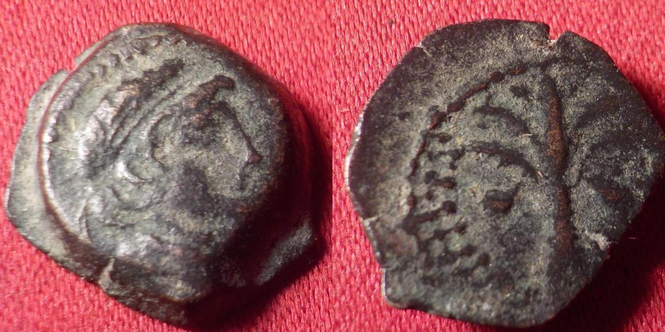 DEMETRIOS I SOTER AE 13mm. Tyre. Palm tree. | Greek Coins