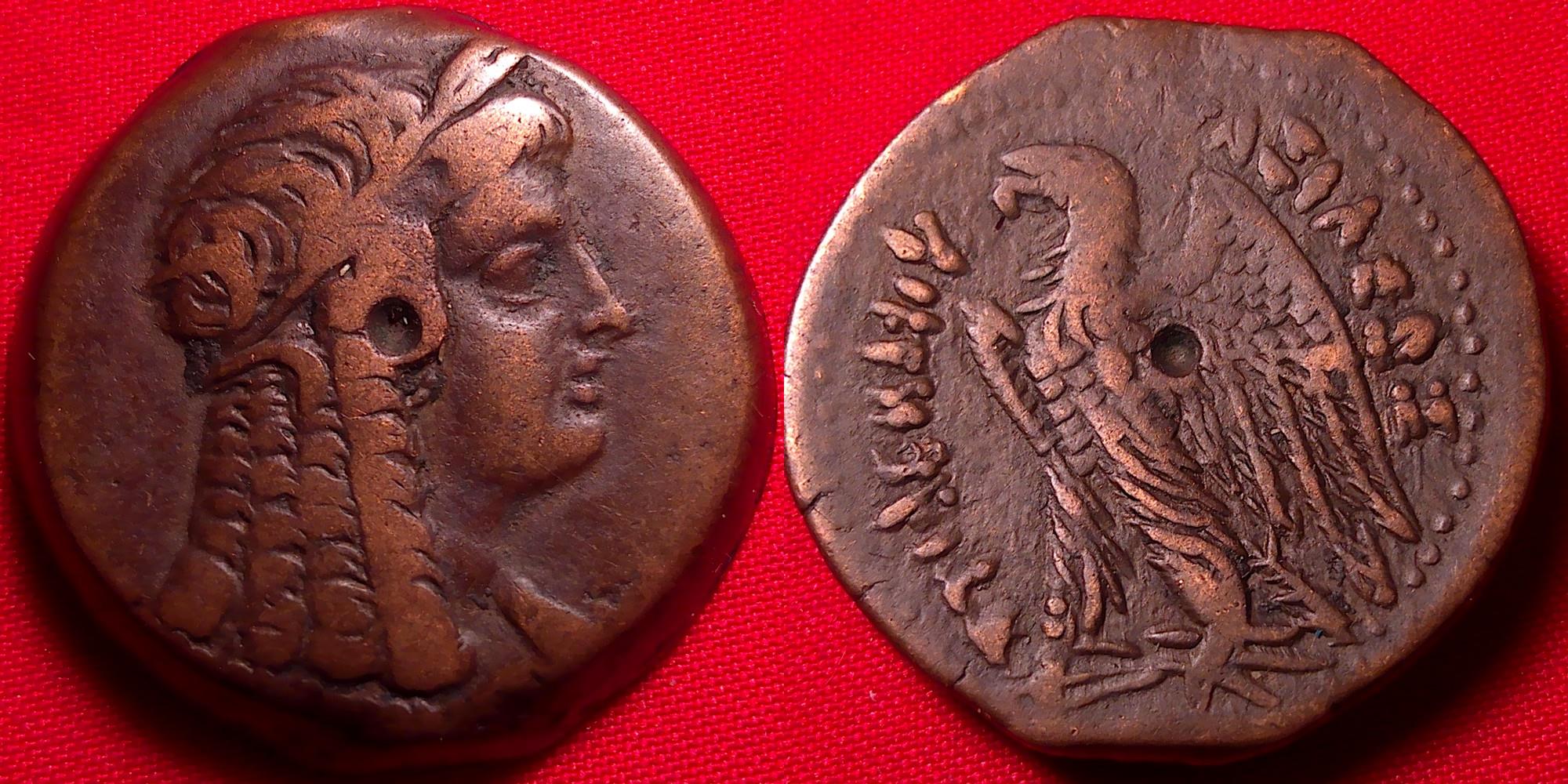 PTOLEMY V EPIPHANOS AE middle bronze. 204-180 BC. Wreathed Isis / Eagle ...