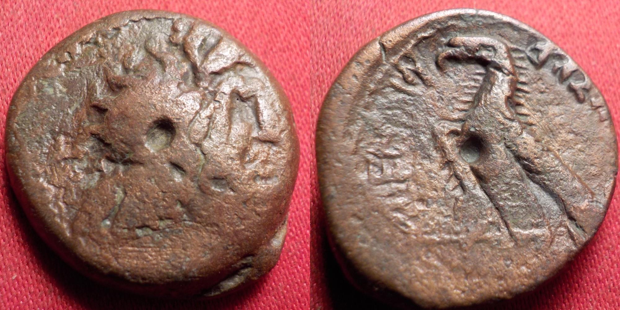PTOLEMY III EUERGETES AE hemiobol. Zeus-Ammon / Eagle. | Greek Coins