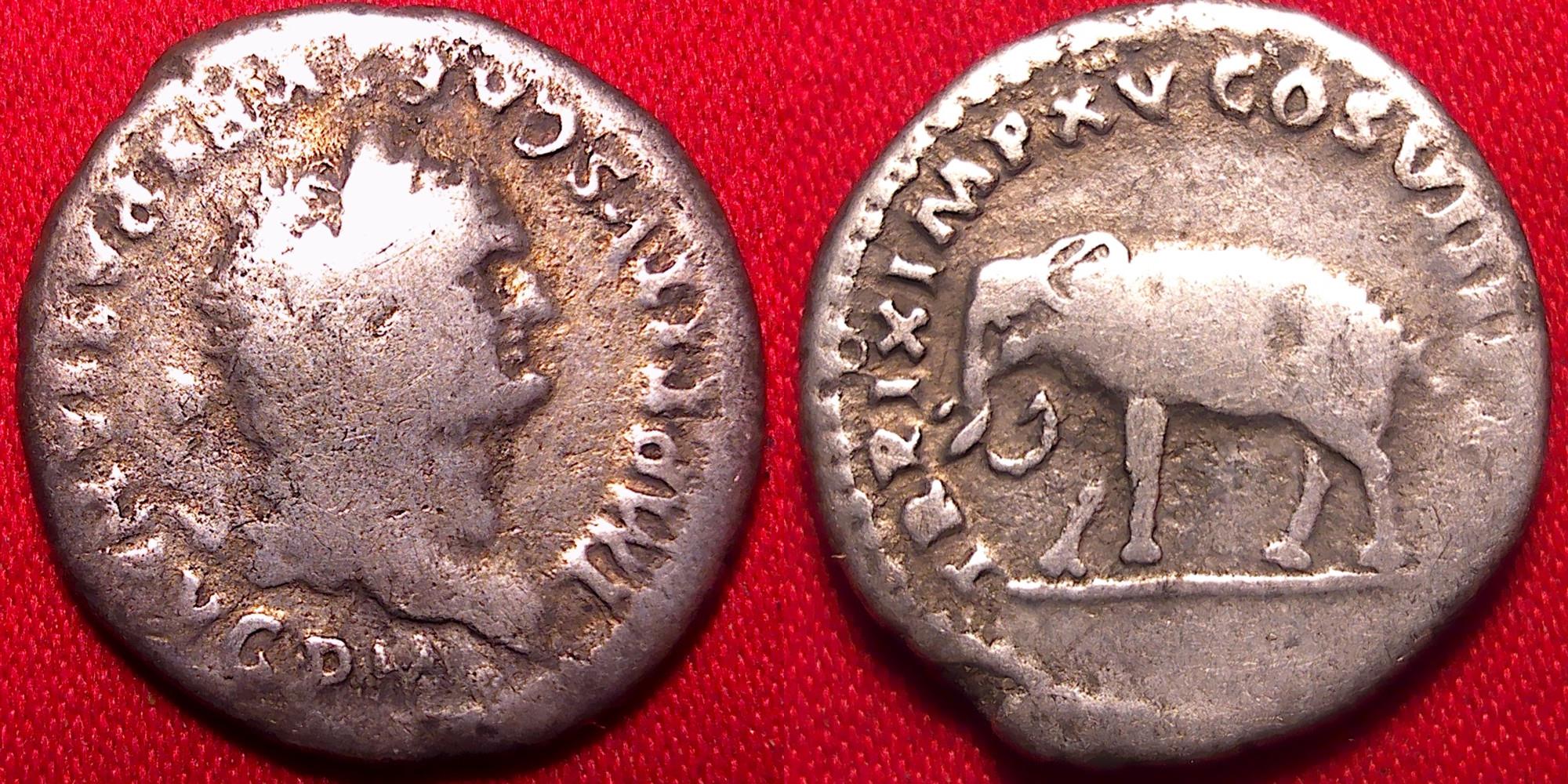 TITUS as Augustus AR silver denarius. Elephant standing. Colosseum ...