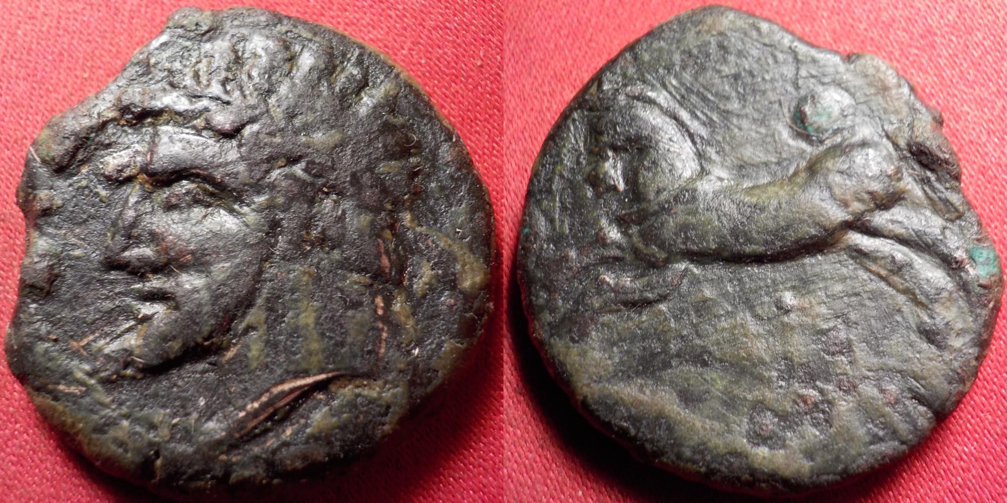 KINGDOM OF NUMIDIA, Micipsa, AE 27mm. Bearded bust, Horse galloping left.
