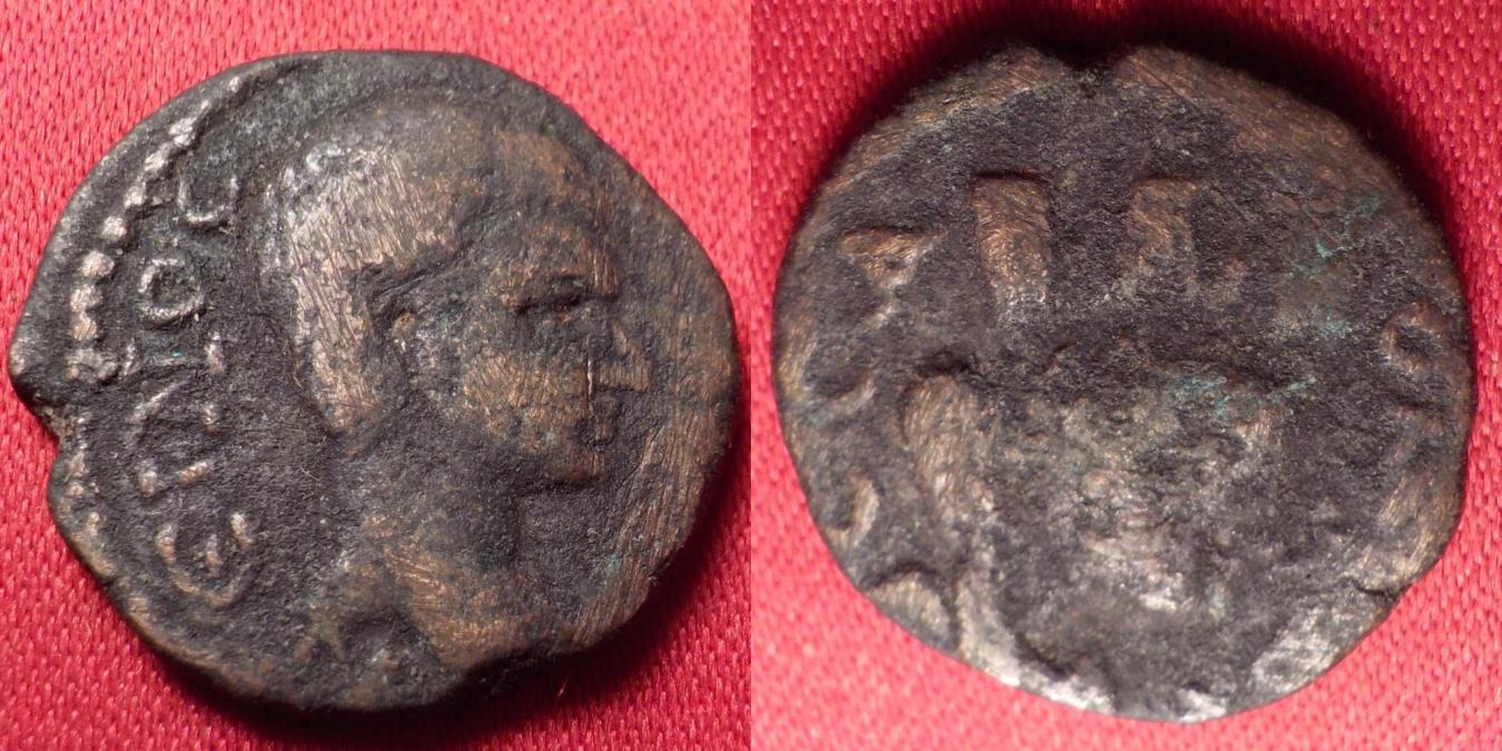 DIADUMENIAN AE 18mm. Edessa, Mesopotamia. Bust of Tyche | Roman ...