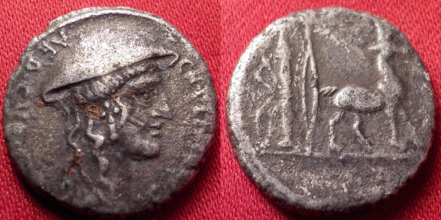 GNaeus PLANCIUS AR silver denarius. 55 BC. Head of Diana Planciana ...