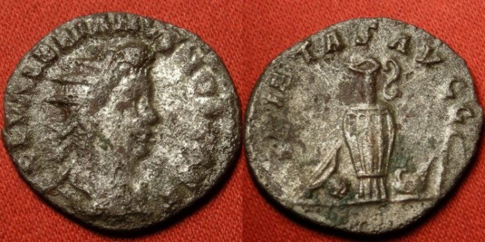 VALERIAN II CAESAR AR silver antoninianus. Rome mint. PIETAS AVGG ...