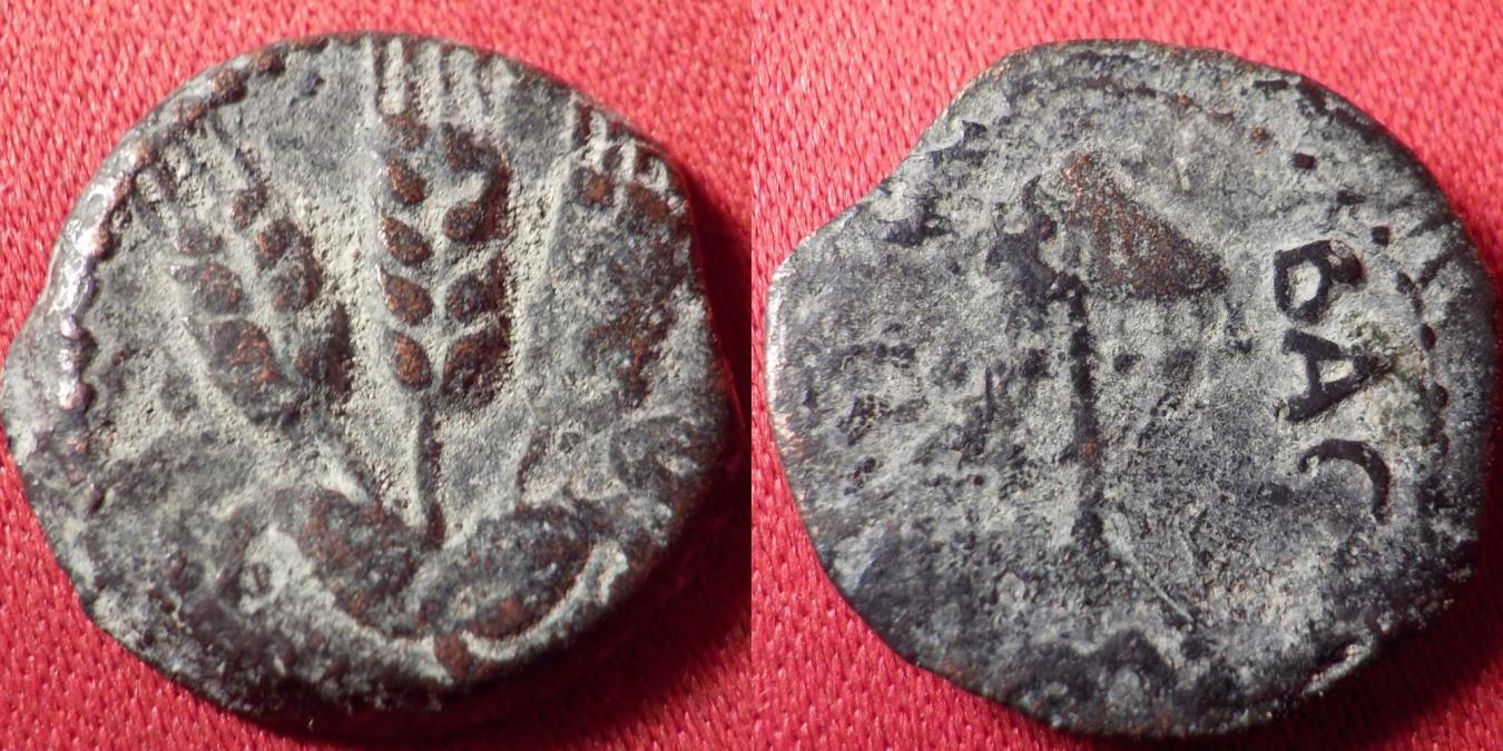 HEROD AGRIPPA I AE prutah. King of the Jews, 41-44 AD. Three ears of ...