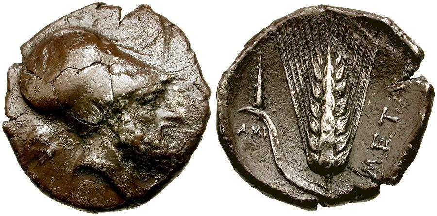 Lucania. Metapontum AR Nomos / Leukippos and Grain Ear | Greek Coins