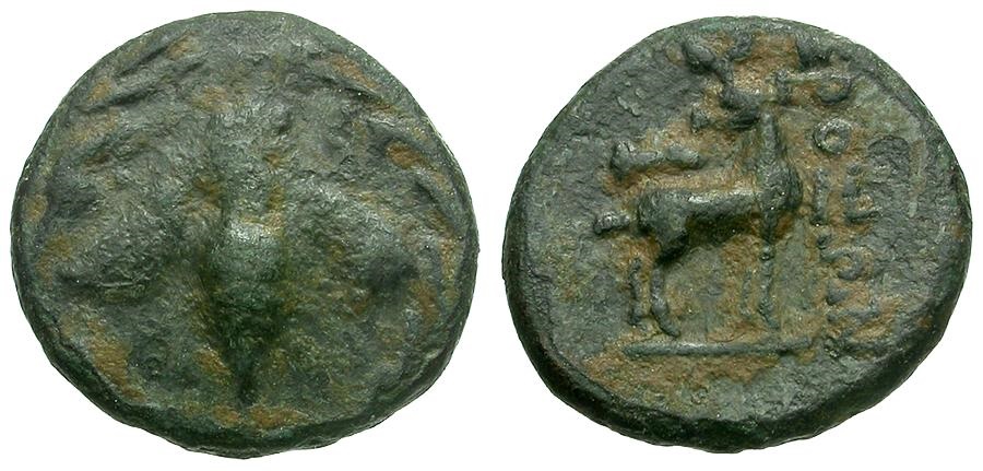 Ionia. Ephesos Æ12 / Bee | Greek Coins