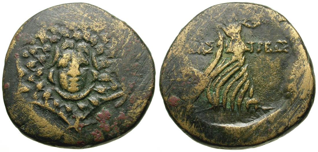 Paphlagonia. Amastris Æ22 / Aegis | Greek Coins