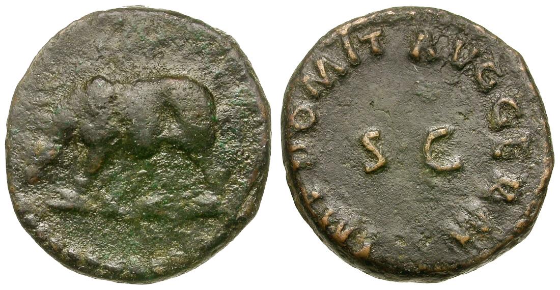 Domitian (AD 81-96) Æ Quadrans / Rhinoceros | Roman Imperial Coins