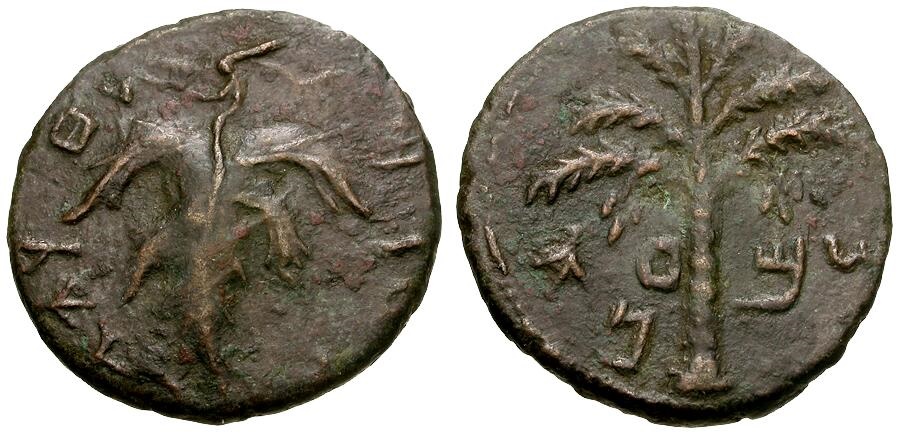 Judaea. Bar Kochba Revolt Æ24 / Vine Leaf & Palm Tree | Greek Coins