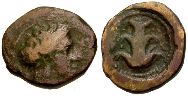 gF+/gF+ Cyrenaica Cyrene Æ24 / Silphium Plant | Greek Coins