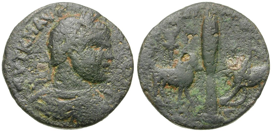 Elagabalus (AD 218-222). Phoenicia. Arados Æ26 / Bull and Lion