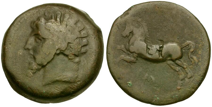 Kings of Numidia. Massinissa or Micipsa Æ27 / Horse | Greek Coins