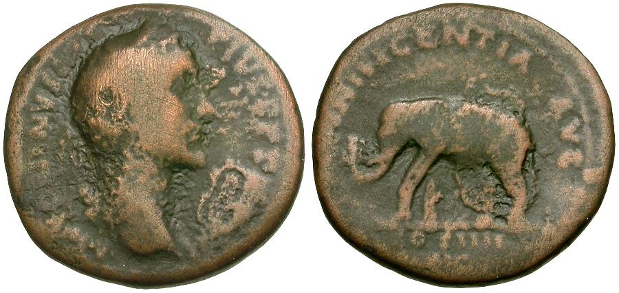 Antoninus Pius (AD 138-161) Æ AS / Elephant | Roman Imperial Coins