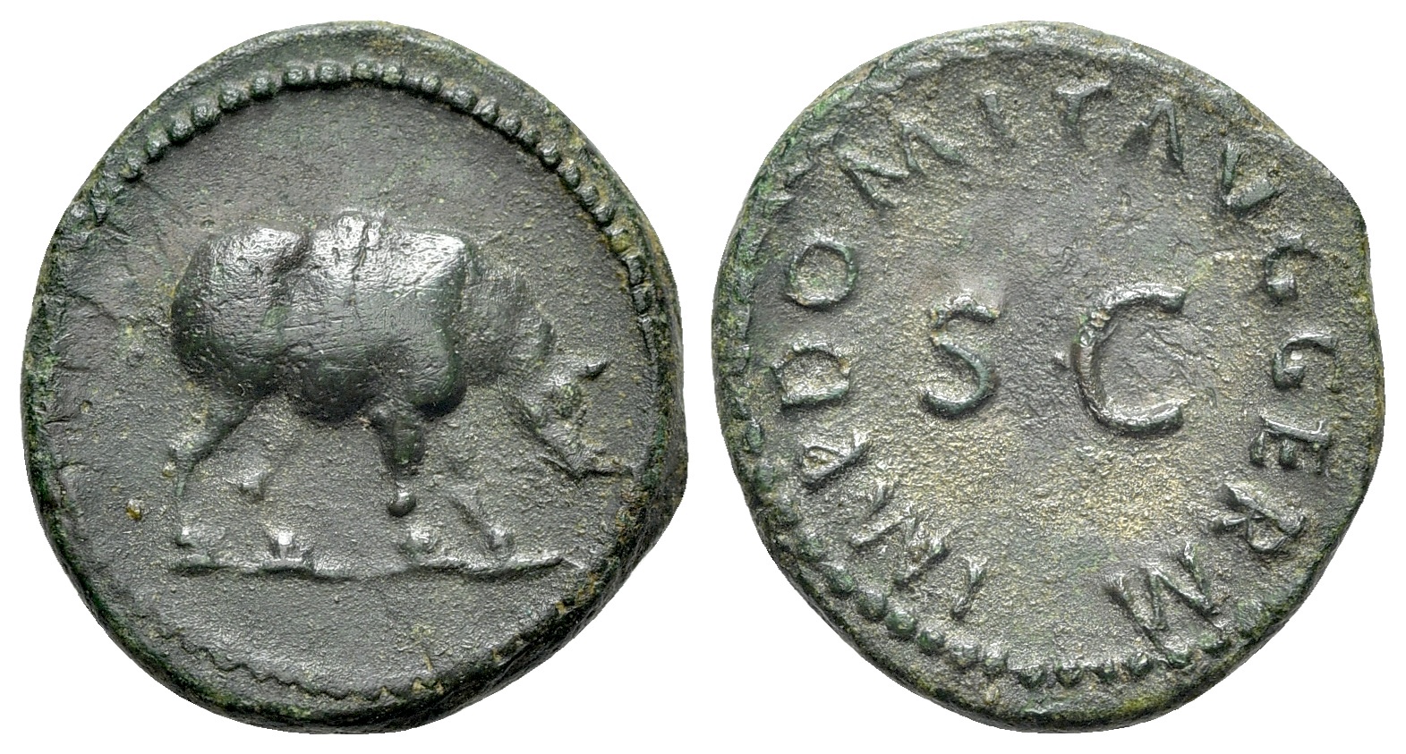 Domitian (81-96). Æ Quadrans. Rome, 84-5. R/ RHINOCEROS NICE