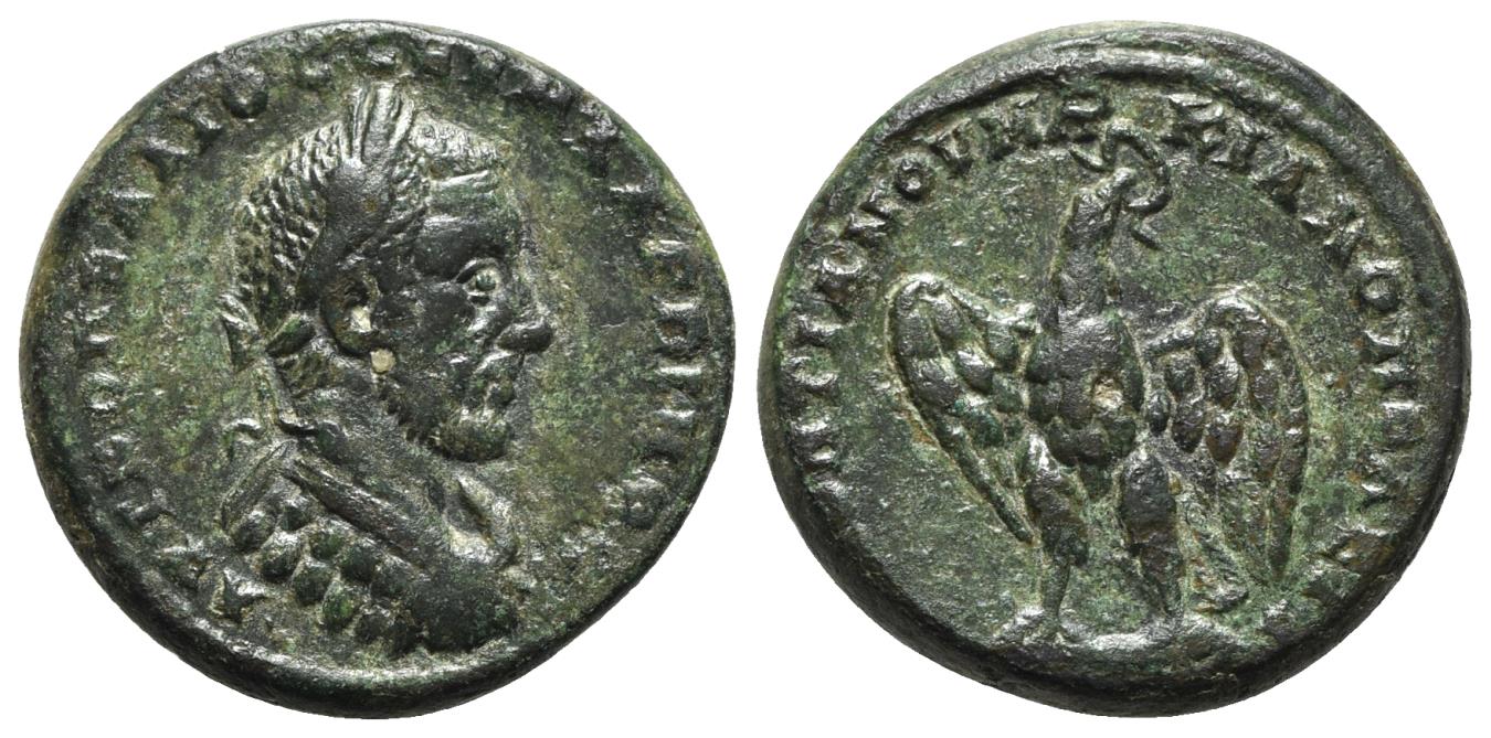 Macrinus (217-218). Moesia Inferior, Marcianopolis. Æ - R/ Eagle