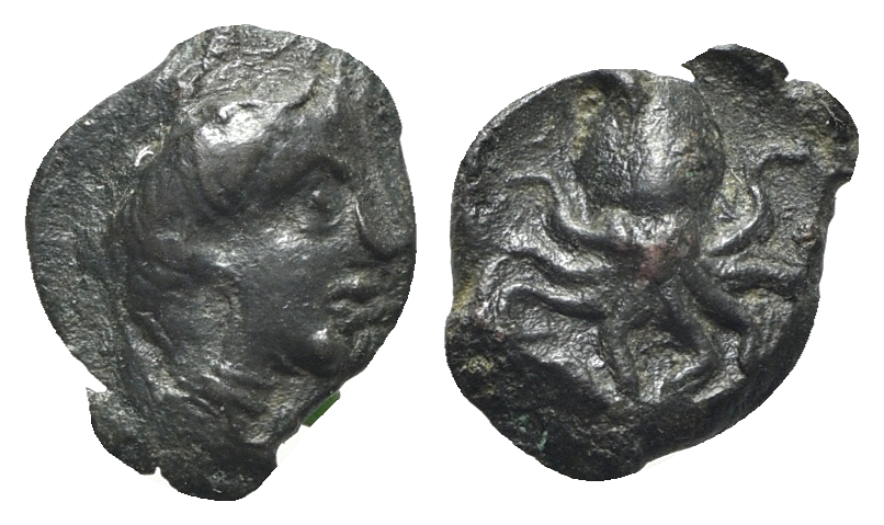 Sicily, Eryx, c. 330-260 BC. Æ 12mm. R/ OCTOPUS | Greek Coins