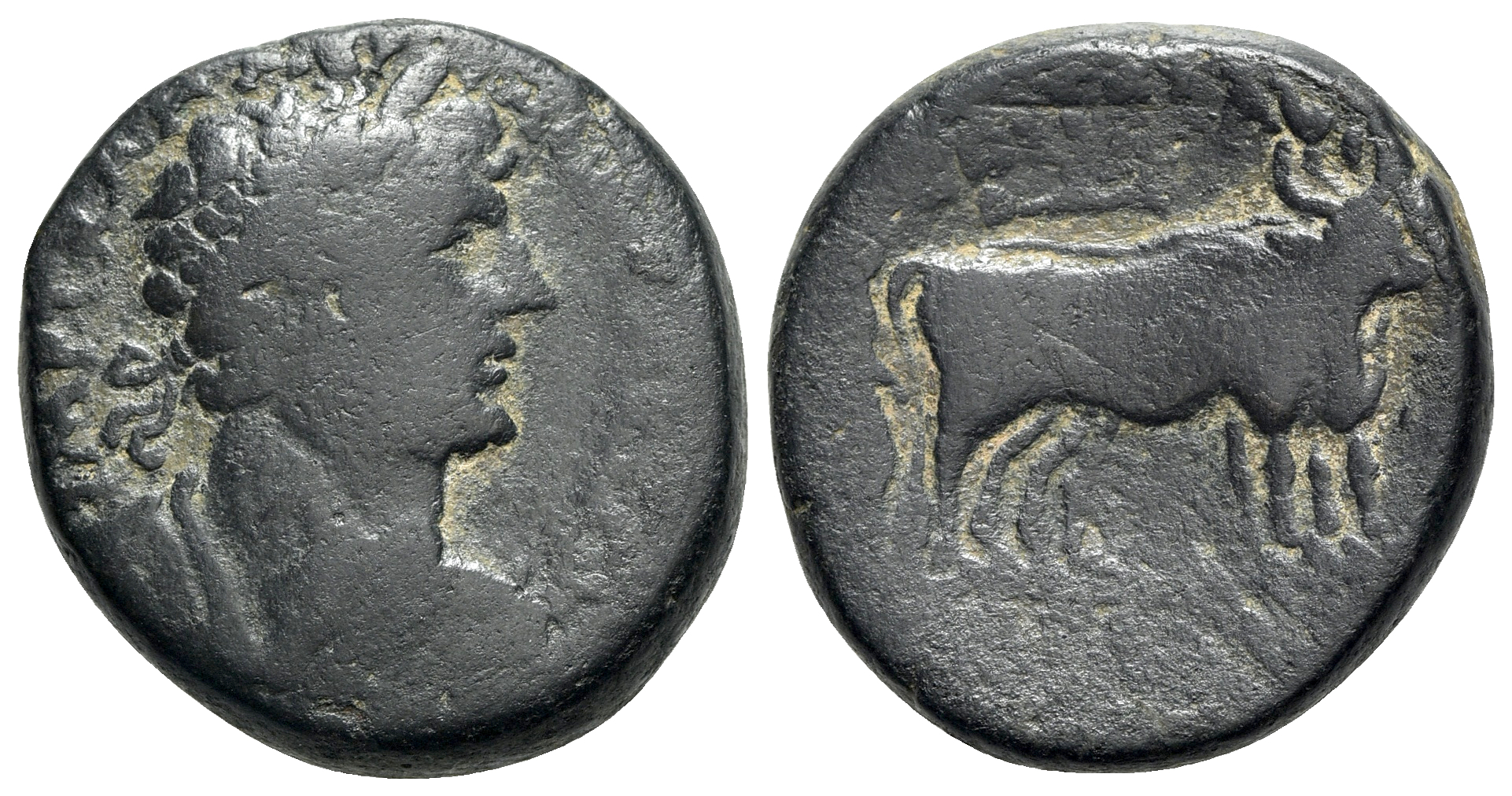 Hadrian (117-138). Judaea, Caesarea Maritima. Æ | Roman Provincial Coins