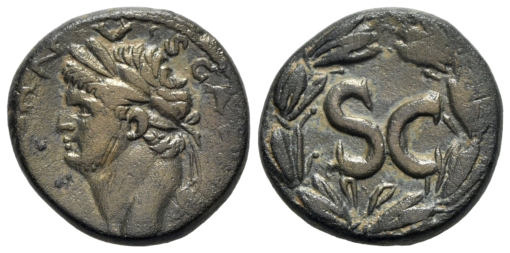 Domitian (81-96). Seleucis and Pieria, Antioch. Æ | Roman Provincial Coins
