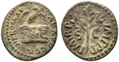 Owls on Ancient coins - VCoins online coin dealers