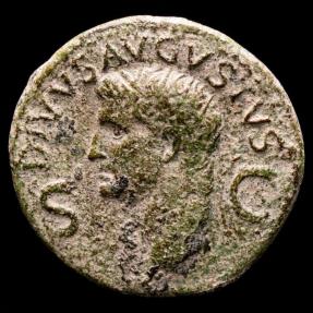 Divus Augustus - Æ Dupondius. Rome, AD 37-41. - CONSENSVS SENAT ET EQ ...
