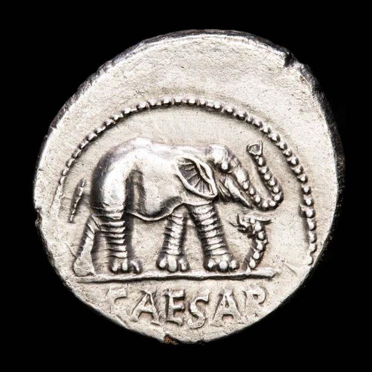 Julius Caesar. Silver denarius. - Elephant trampling serpent / Emblems ...