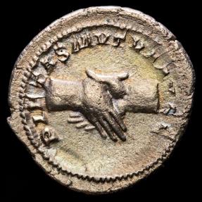Balbinus (238 A.D.) Silver antoninianus, Rome. - PIETAS MVTVA AVGG ...