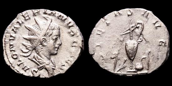 Saloninus as caesar 258-260 A.D. Silver antoninianus, Colonia Agrippina ...