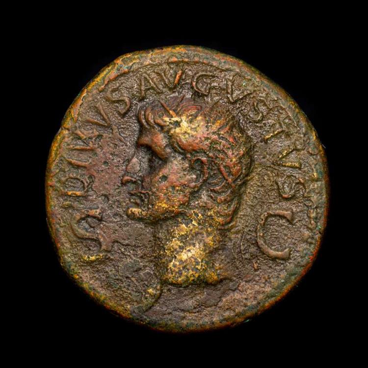 Divus Augustus. Dupondius, struck under Caligula. CONSENSV SENAT ET EQ ...