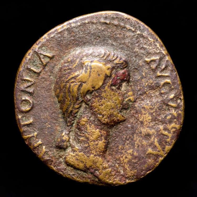 Antonia, bronze dupondius. 42 A.D.- TI CLAVDIVS CAESAR AVG P M TR P IMP ...