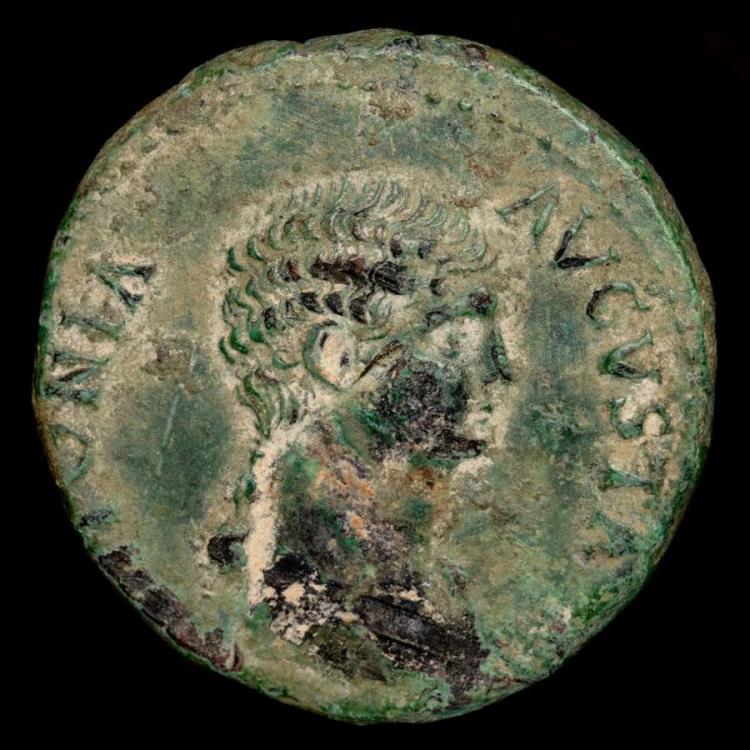 Antonia, bronze dupondius. 42 A.D.- TI CLAVDIVS CAESAR AVG P M TR P IMP ...